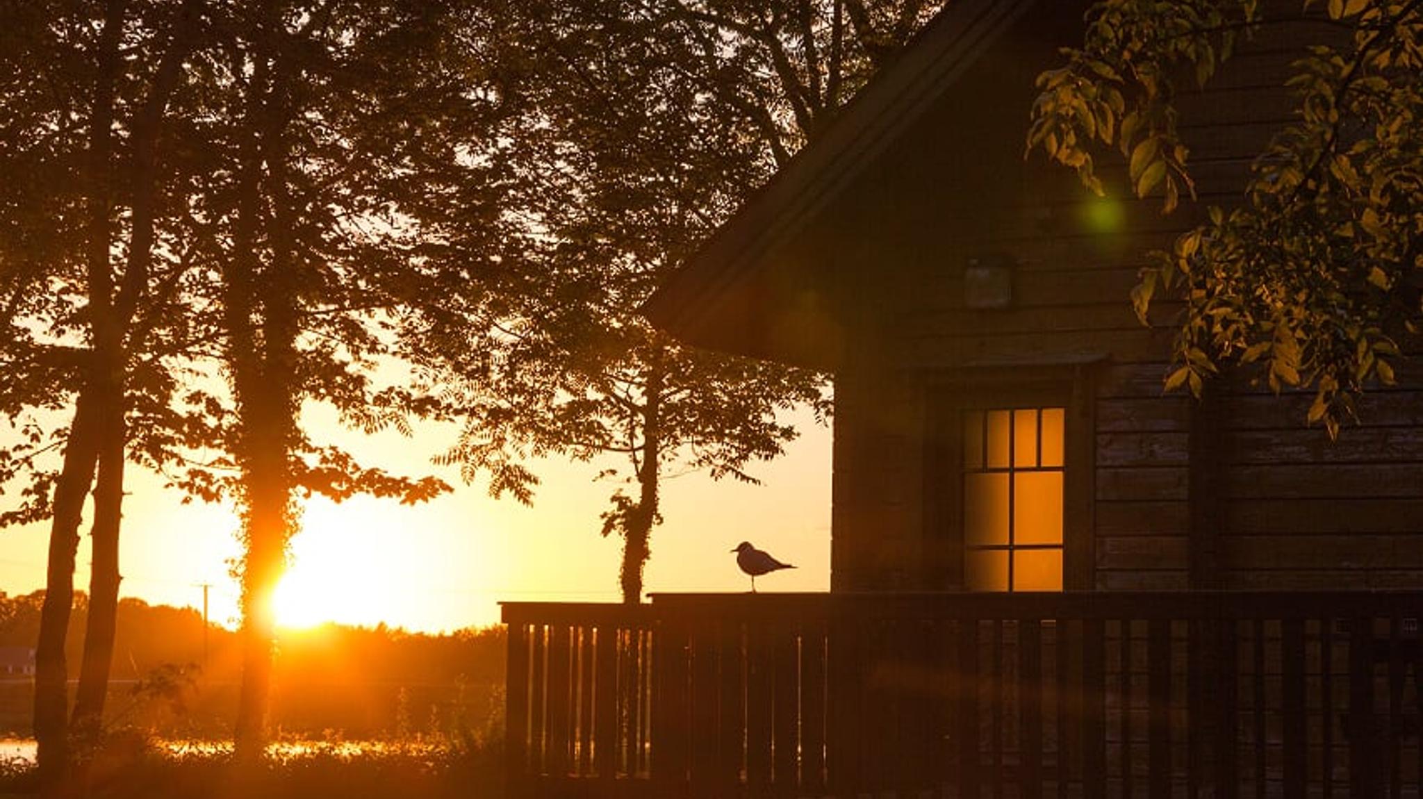 Lusty Beg Island Resort and Spa, Kesh | Welcome Official Website